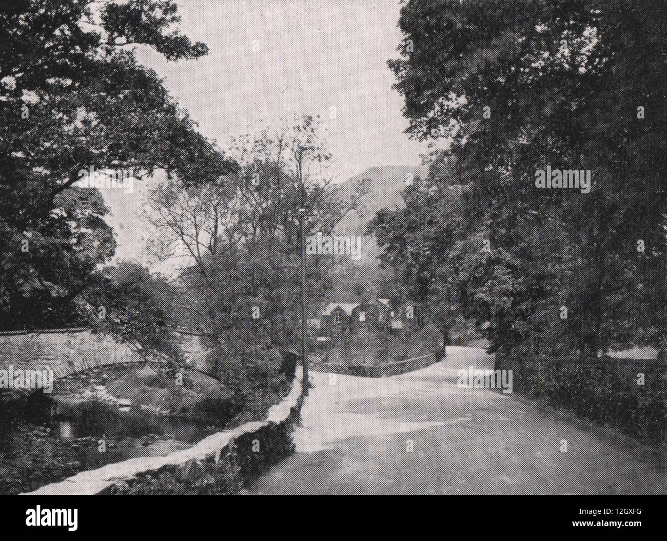 Pelter hi-res stock photography and images - Alamy