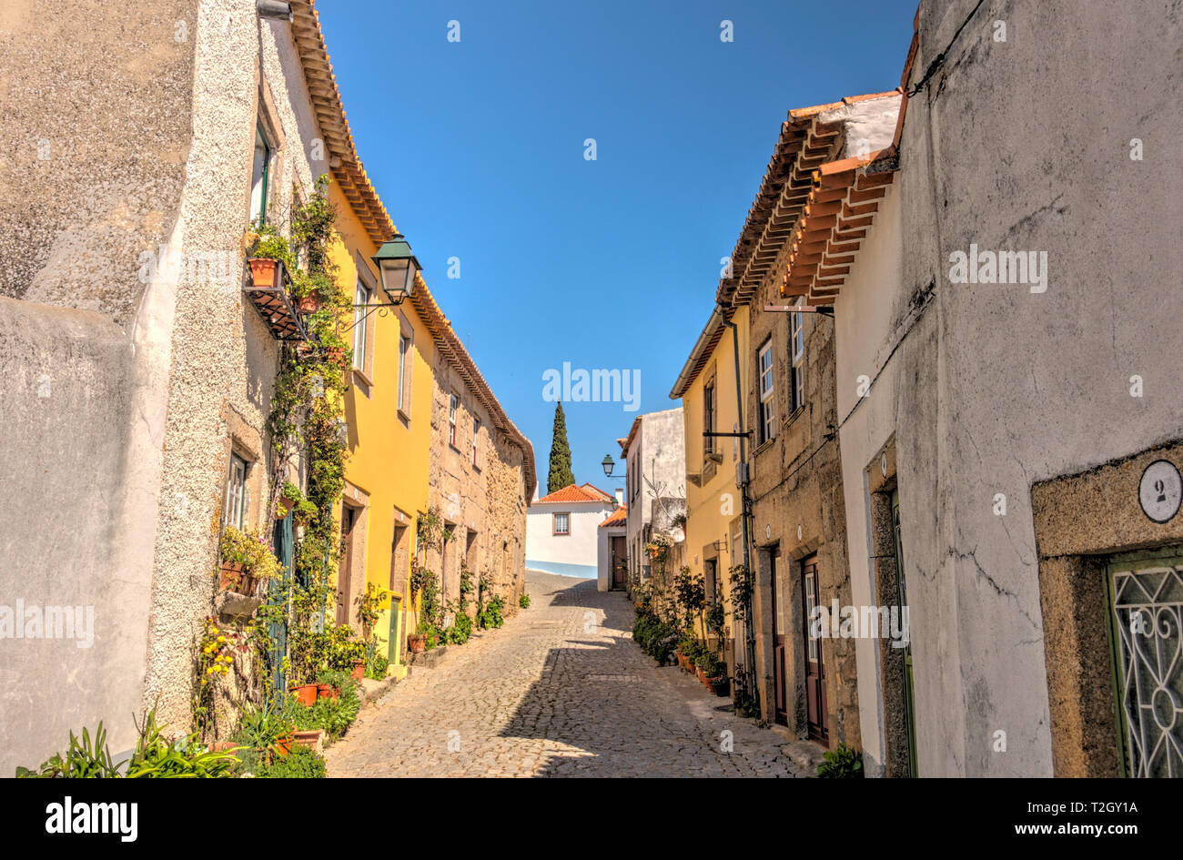 Histricas hi-res stock photography and images - Alamy