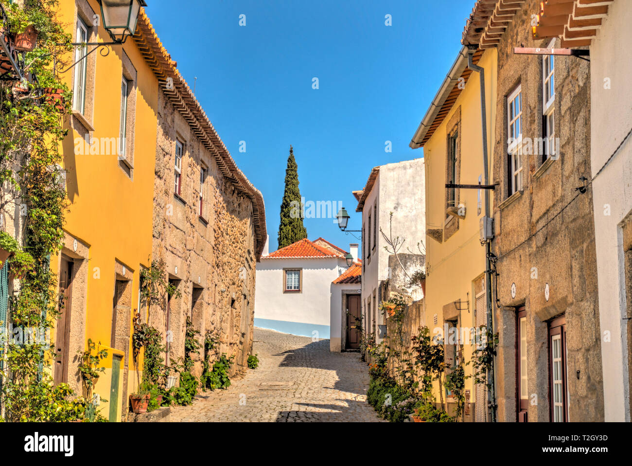 Histricas hi-res stock photography and images - Alamy