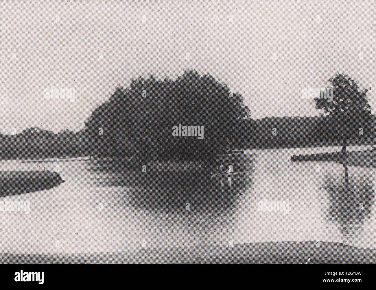 Connaught Waters, Chingford Stock Photo - Alamy