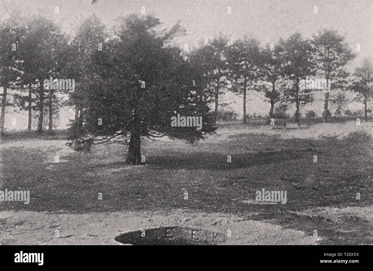 Caesars well hi-res stock photography and images - Alamy