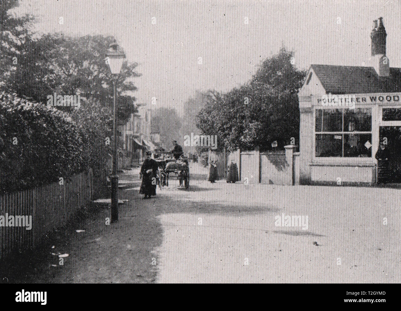 Binstead hi-res stock photography and images - Alamy