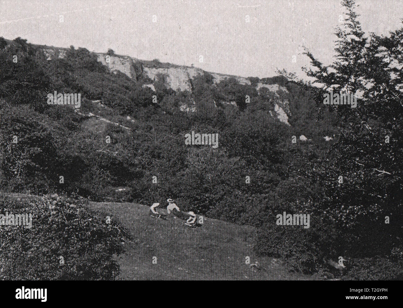 Landslip hi-res stock photography and images - Alamy