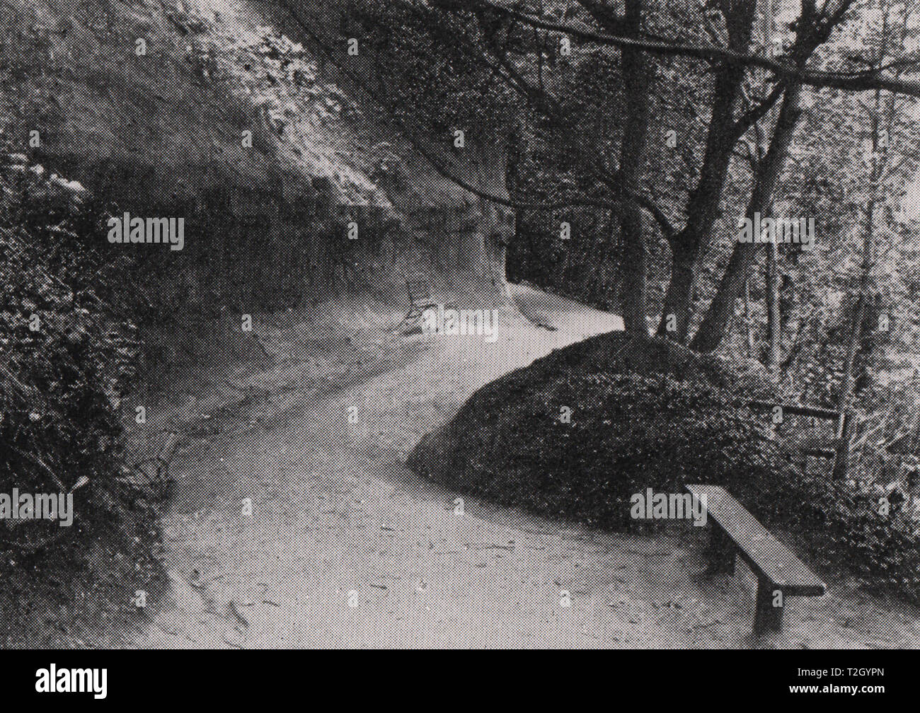 Isle wight shanklin chine hi-res stock photography and images - Alamy