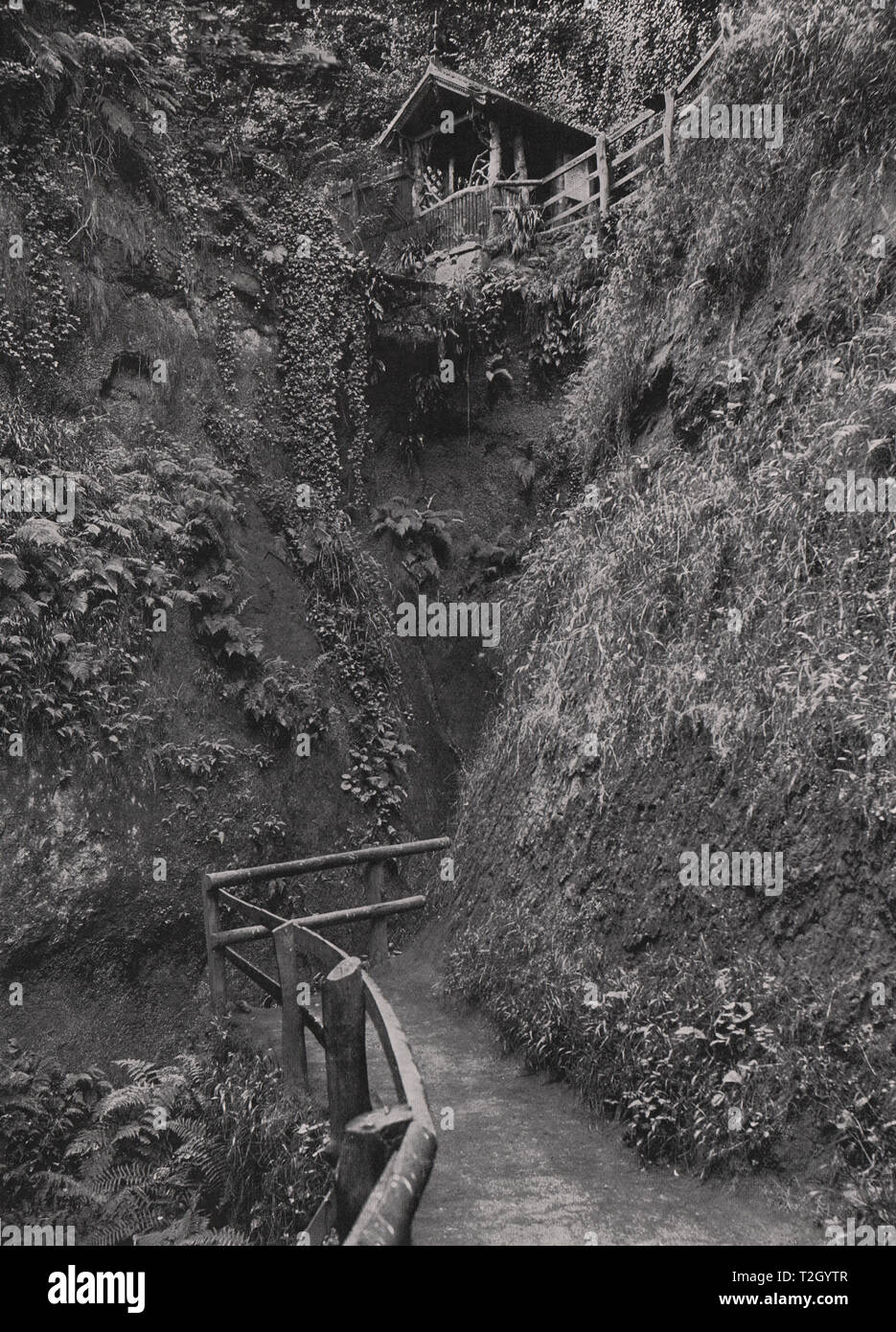 Shanklin chine isle of wight hi-res stock photography and images - Alamy