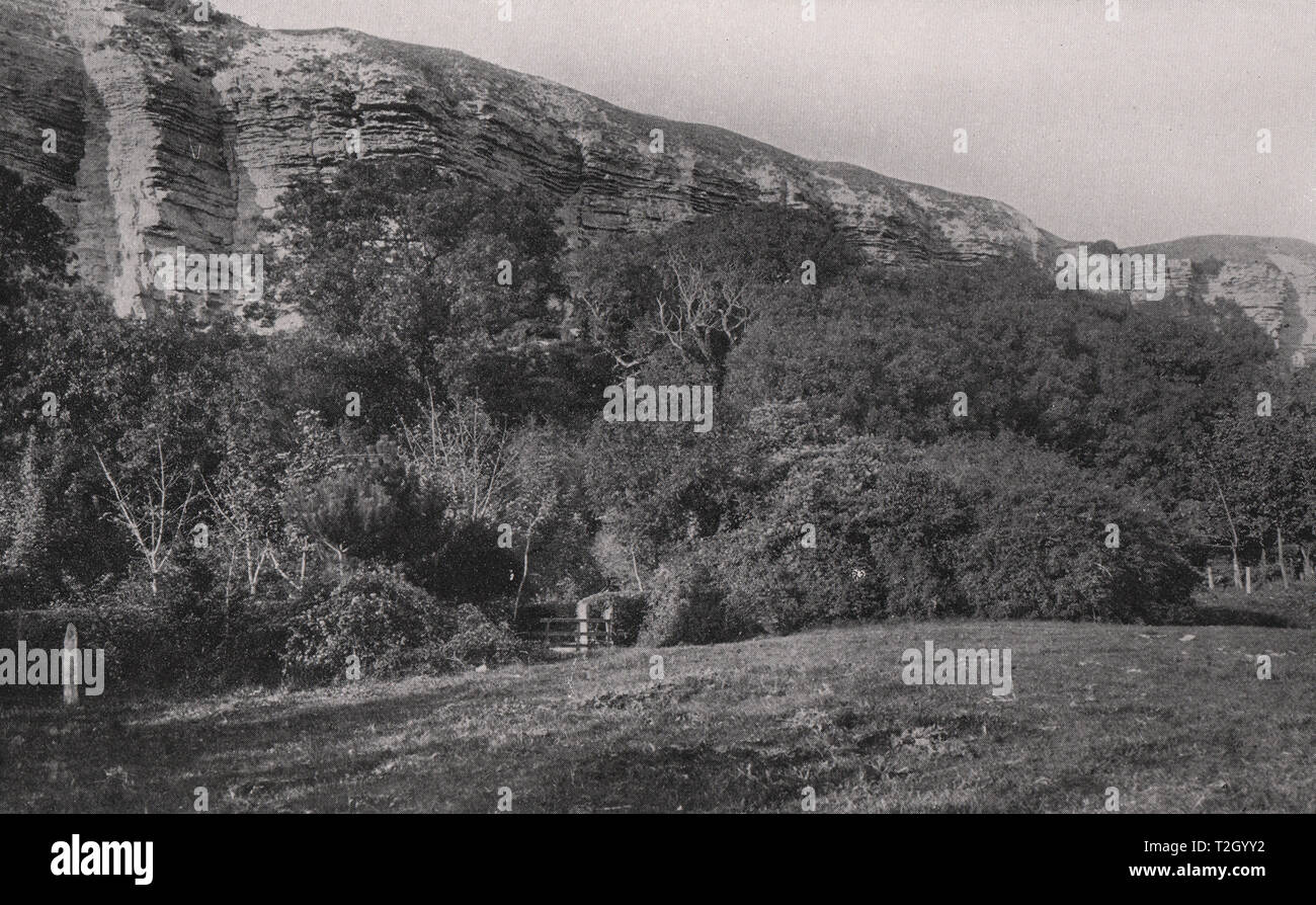 Undercliff hi-res stock photography and images - Alamy