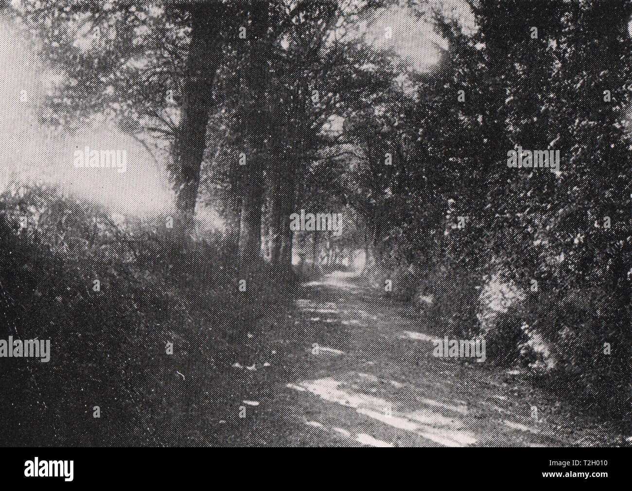 Lane smith hi-res stock photography and images - Alamy