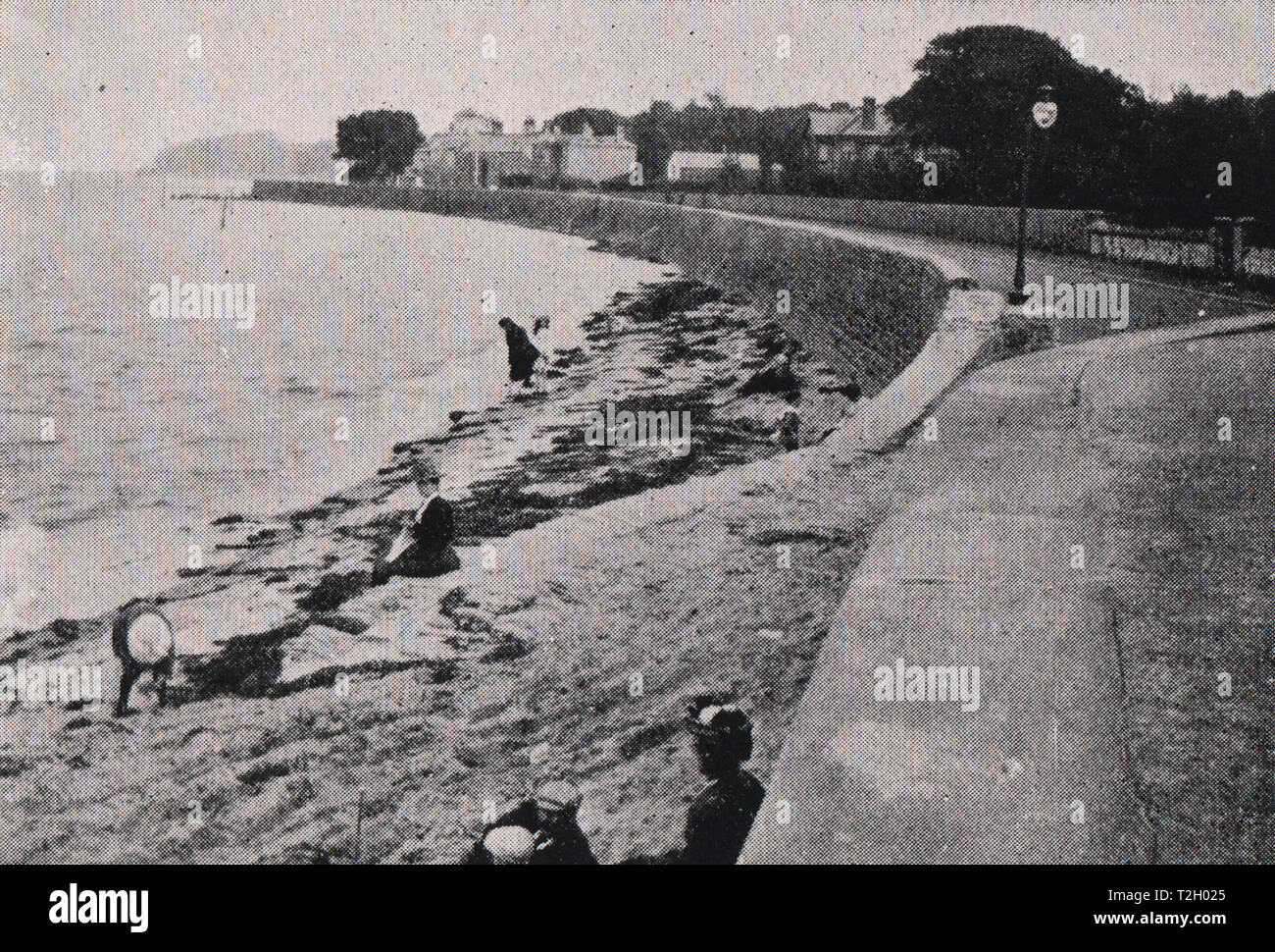 Springvale hi-res stock photography and images - Alamy