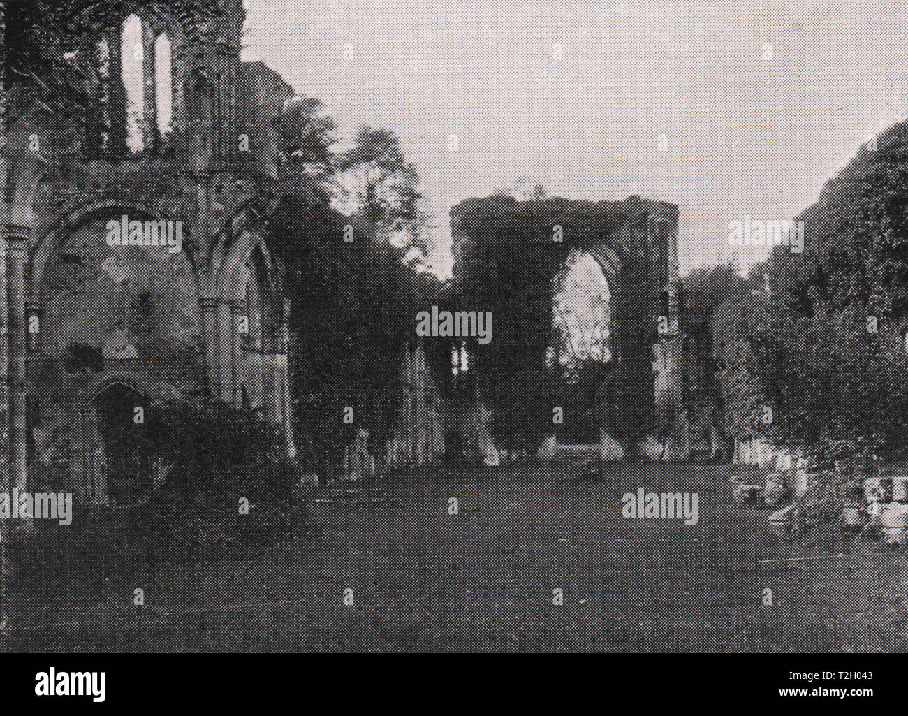 Netley abbey hampshire hi-res stock photography and images - Alamy