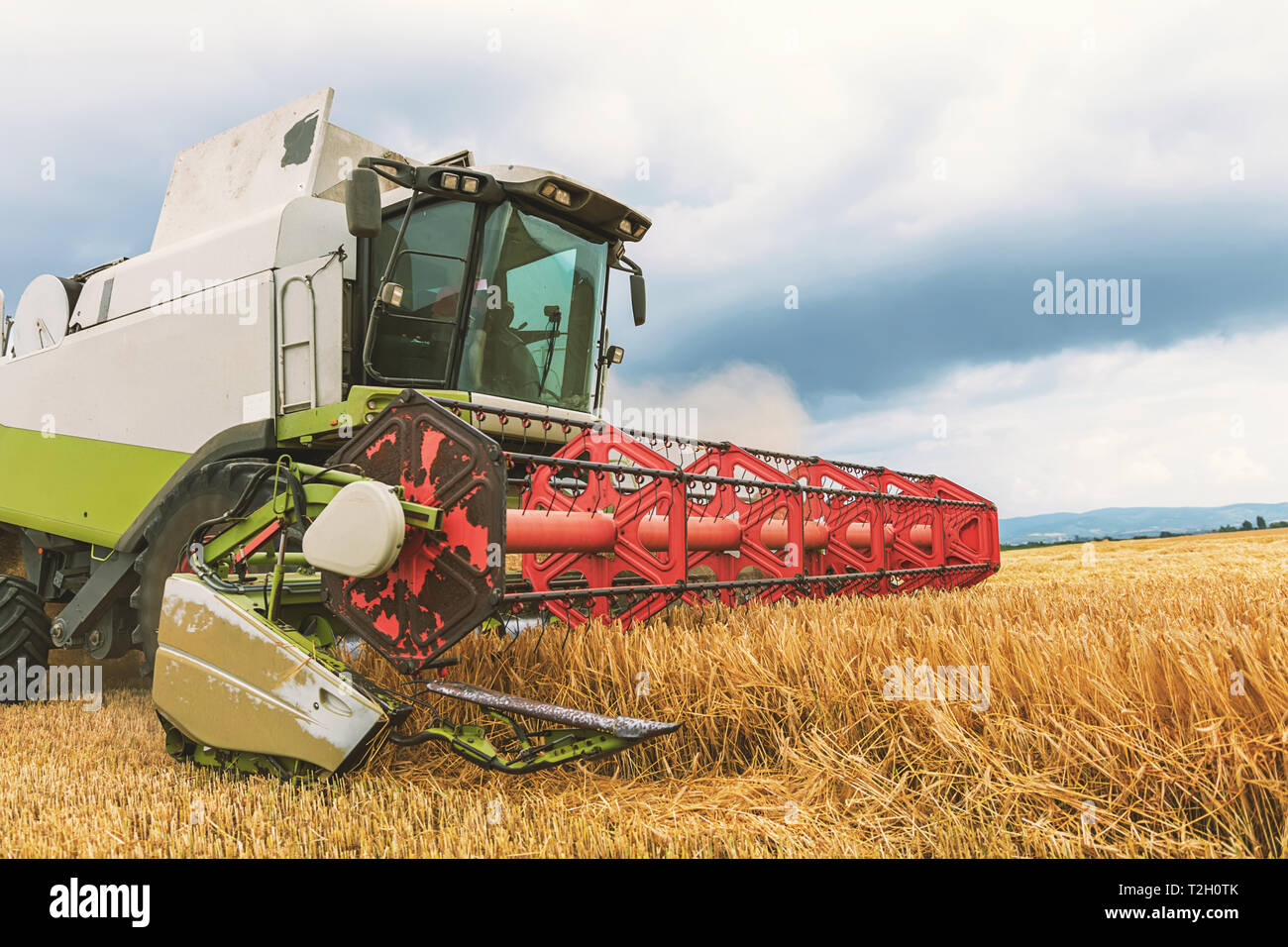Closeup Combine harvesting a wheat field. Combine working the field ...