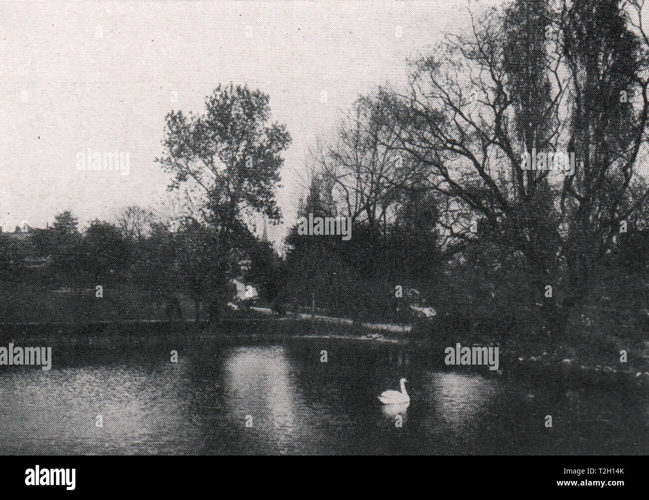 Waterlow park highgate london hi-res stock photography and images - Alamy