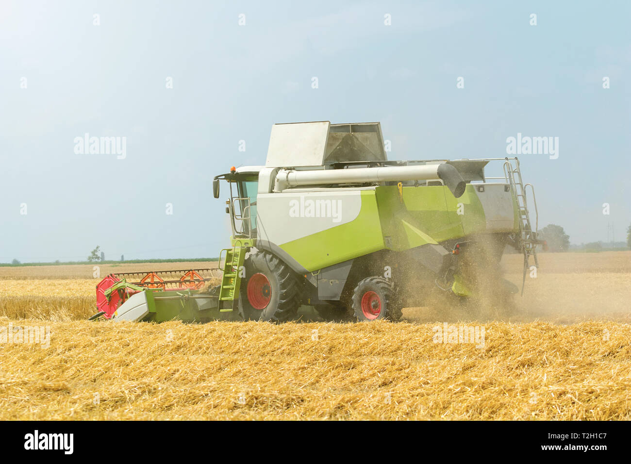 Combine harvesting a wheat field. Combine working the field Stock Photo ...