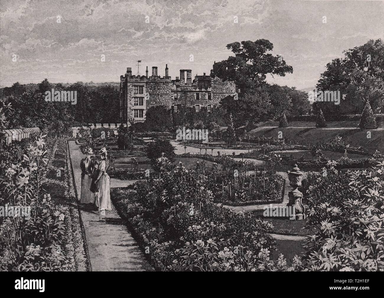 Chillingham hi-res stock photography and images - Alamy