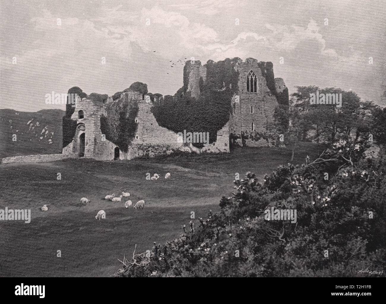 Oystermouth Castle, Mumbles Stock Photo - Alamy