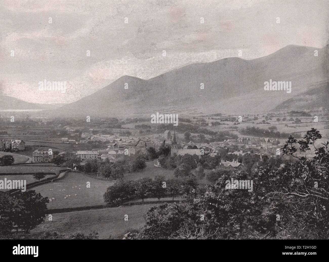 Head castle hi-res stock photography and images - Alamy