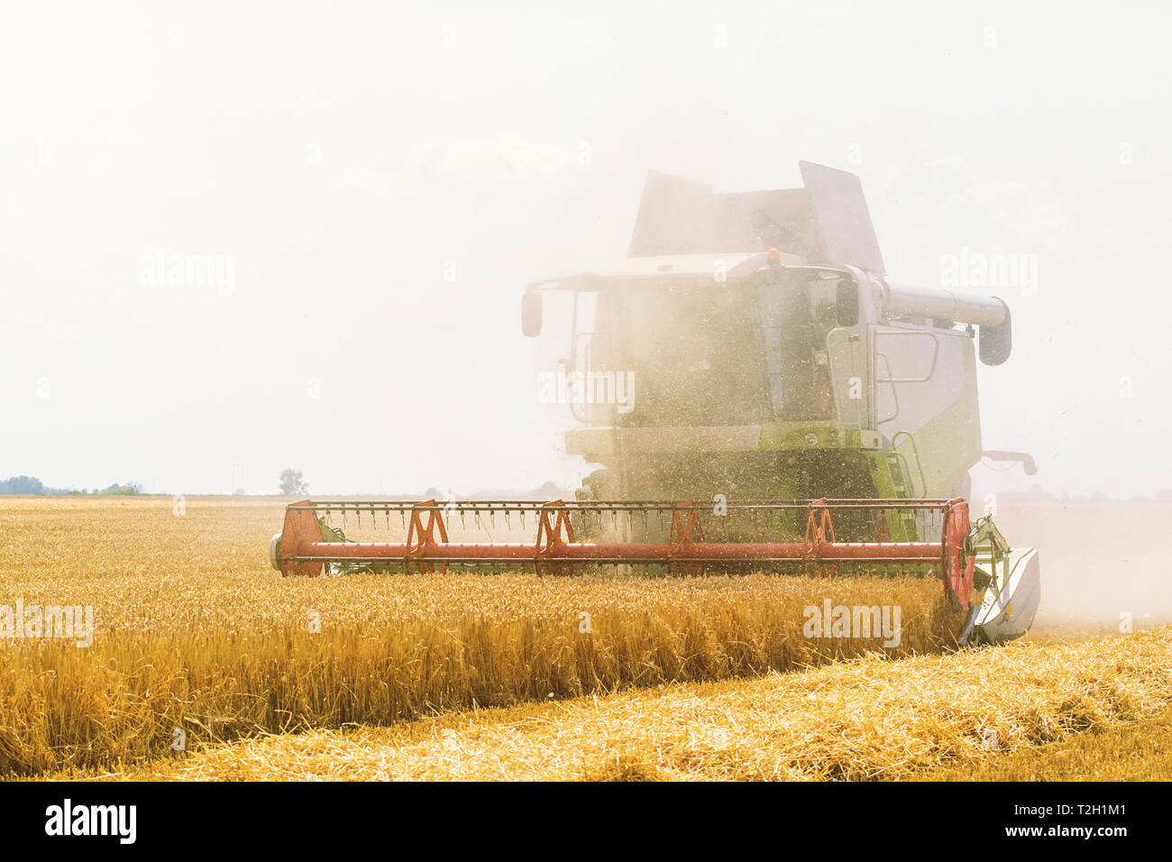 Combine harvesting a wheat field. Combine working the field Stock Photo ...