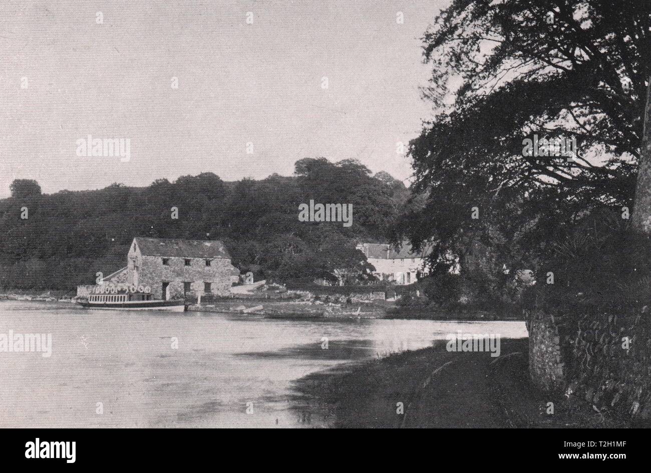 Lopwell Quay, River Tavy Stock Photo - Alamy