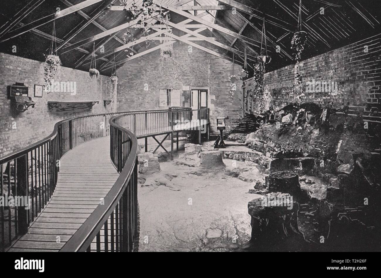 Fossil Grove, Whiteinch Stock Photo - Alamy