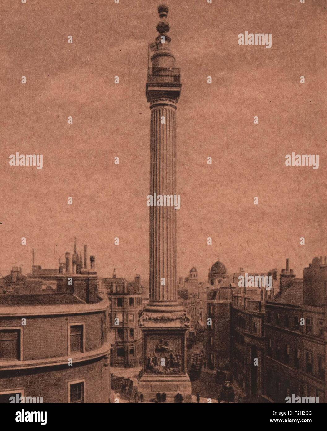 Fire Monument, London Stock Photo - Alamy