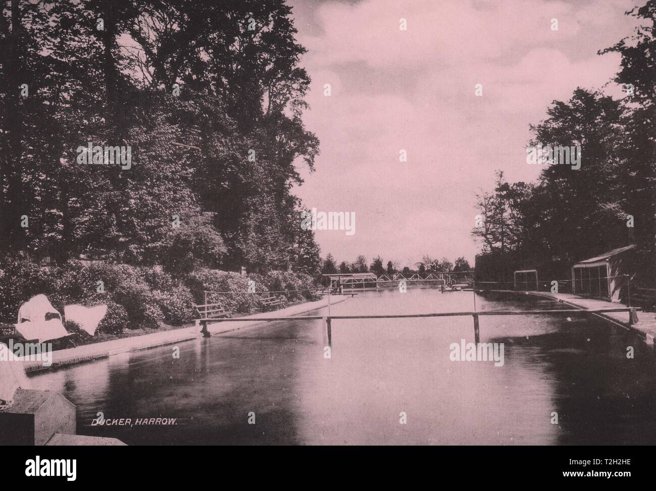 Ducker hi-res stock photography and images - Alamy