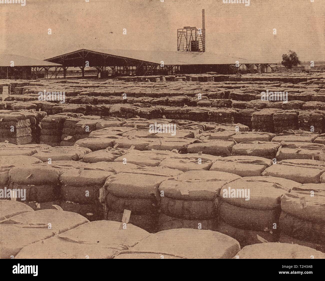Cotton shipment hi-res stock photography and images - Alamy
