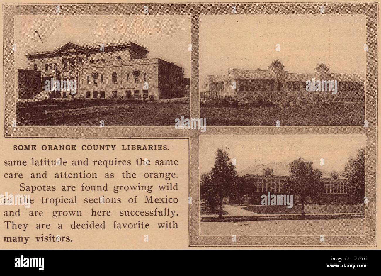 Vintage libraries hi-res stock photography and images - Alamy