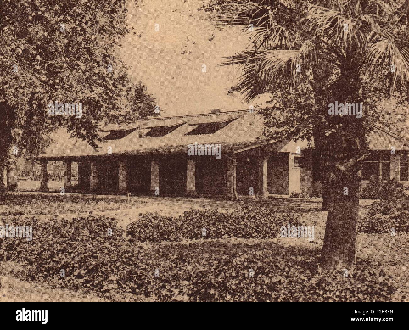 Modjeska hi-res stock photography and images - Alamy