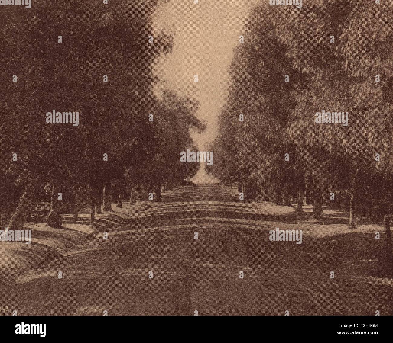 Los angeles county road hi-res stock photography and images - Alamy