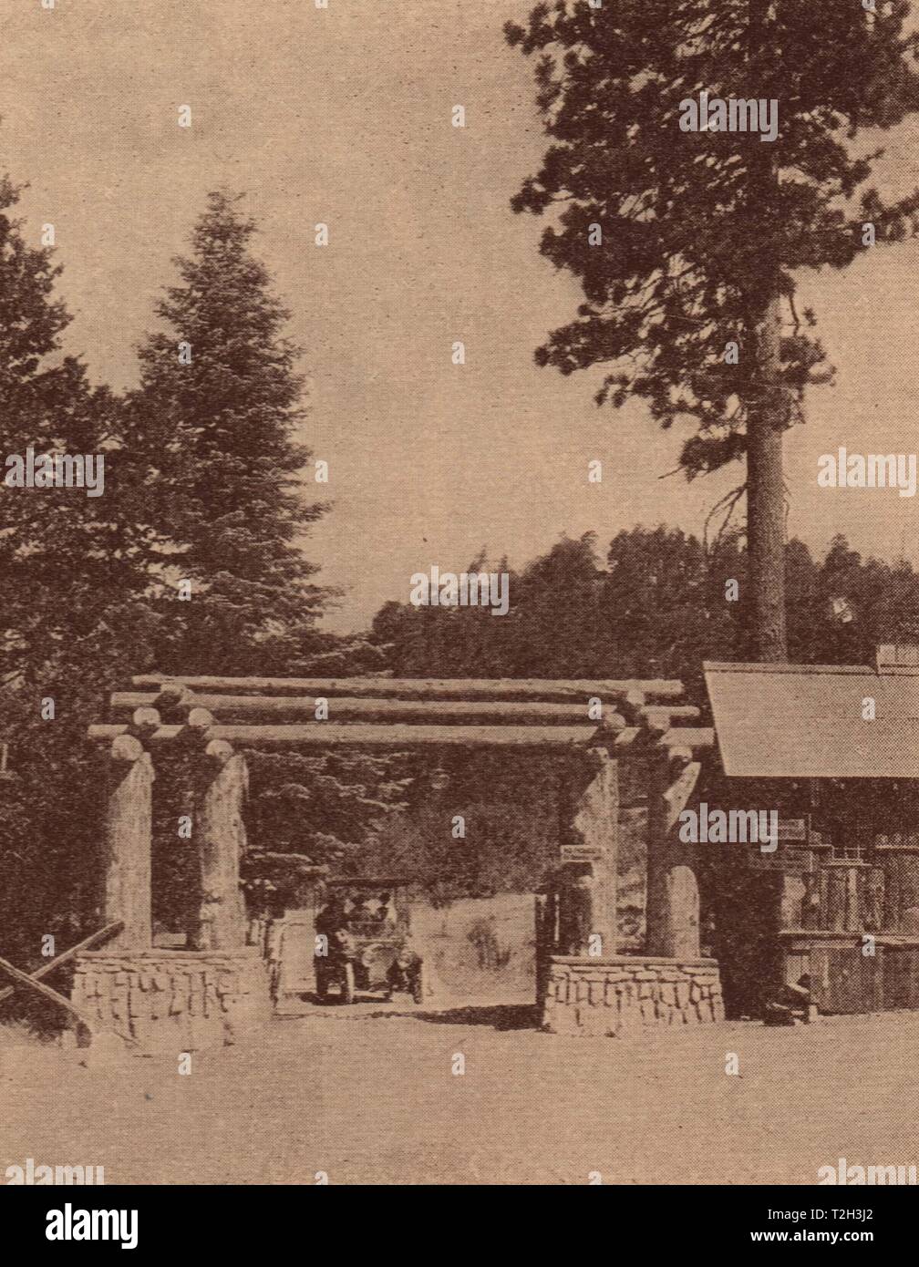 Entrance to Pine Crest Stock Photo - Alamy