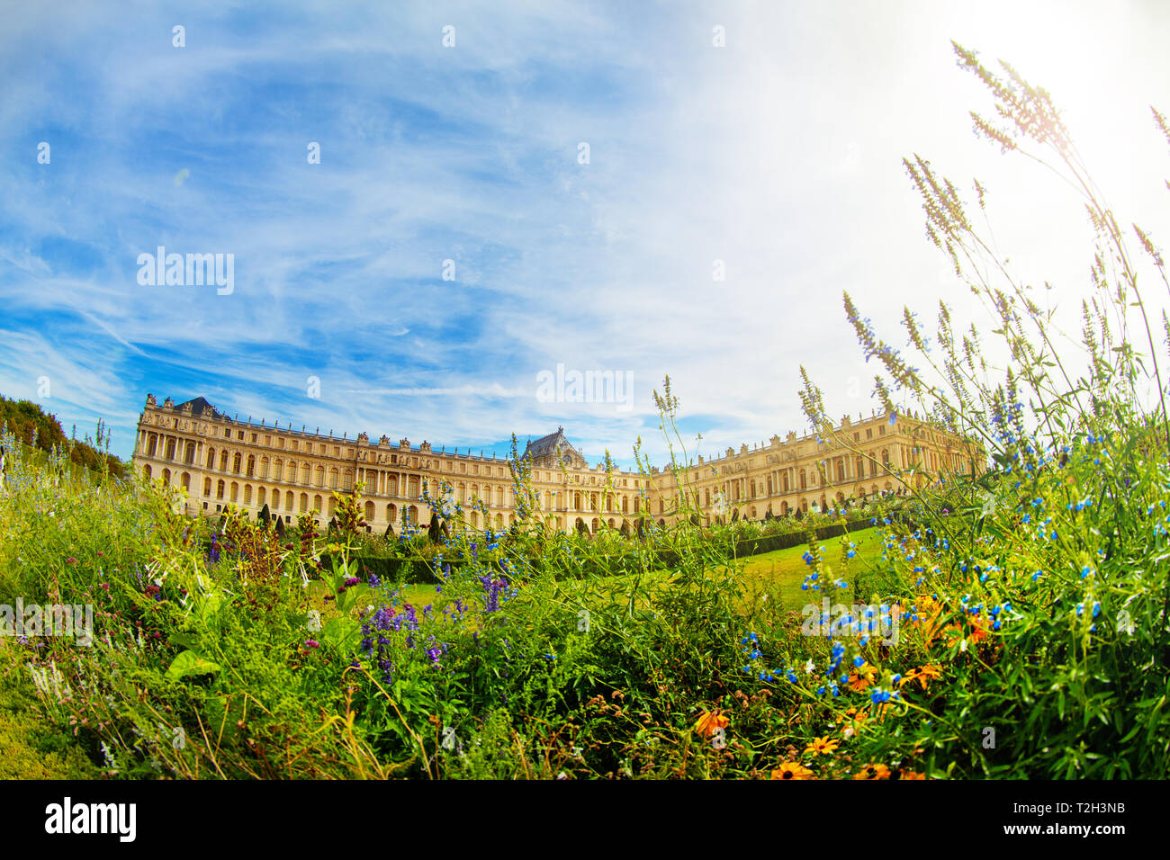 France versailles unesco flower hi-res stock photography and images - Alamy