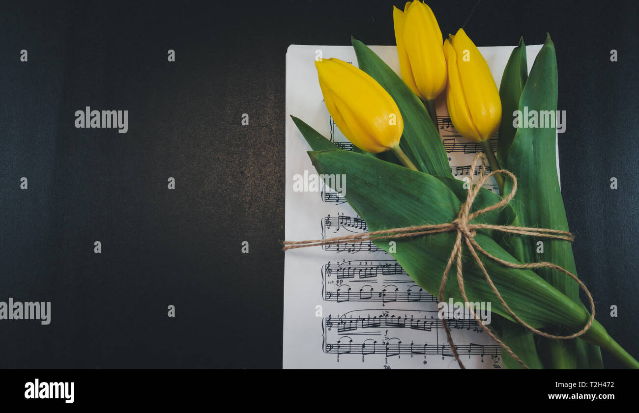 Tulip flower on a sheet of old musical notes on the dlack background ...