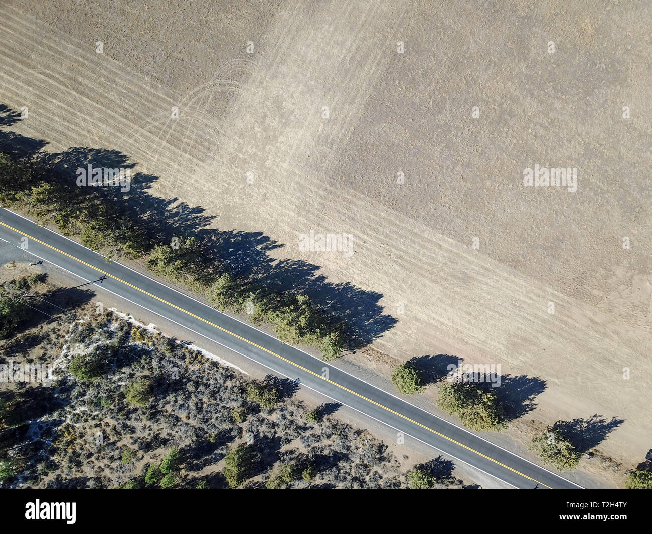 Trees line rural road hi-res stock photography and images - Alamy