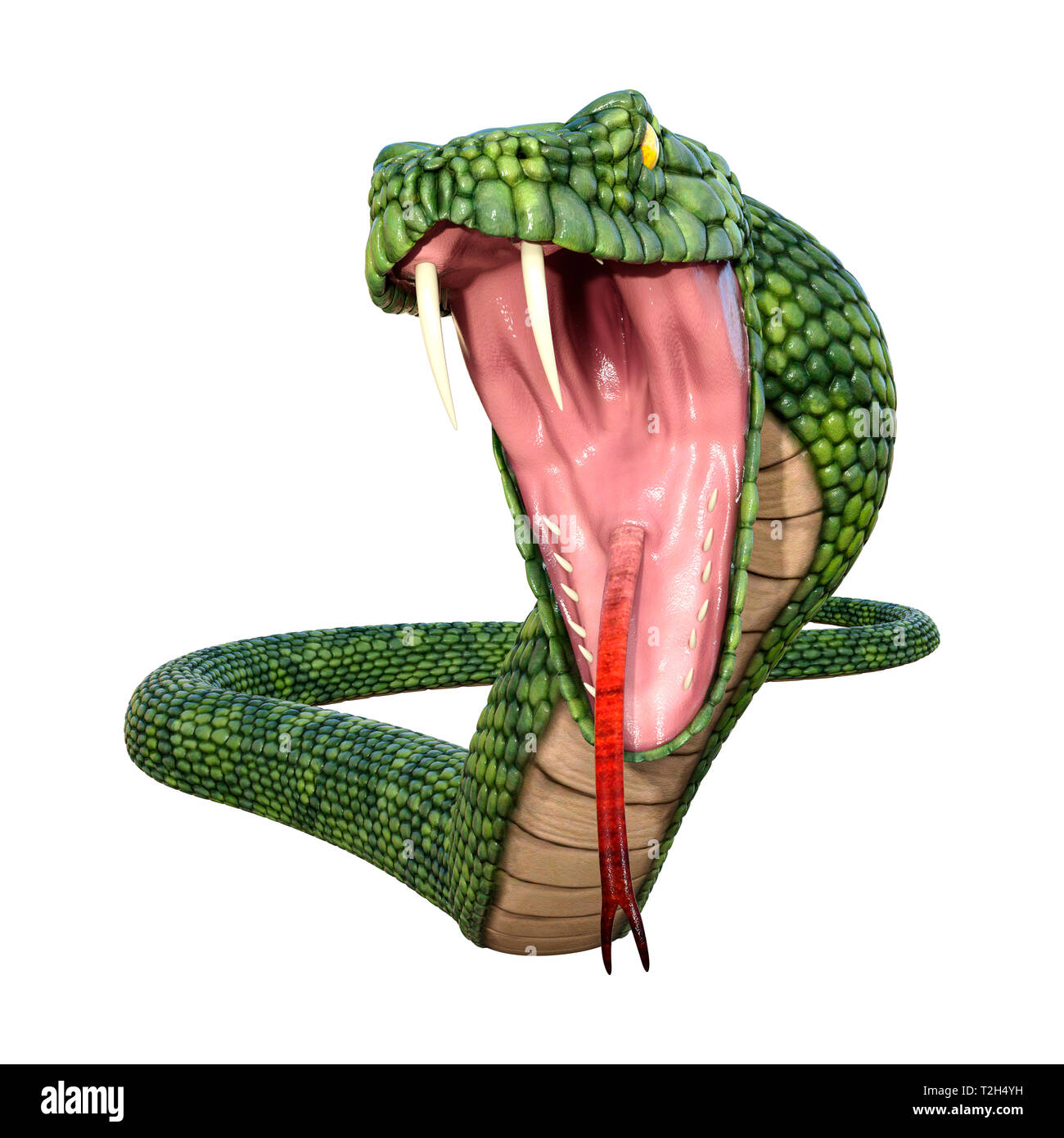 3D rendering of a green giant fantasy snake isolated on white ...