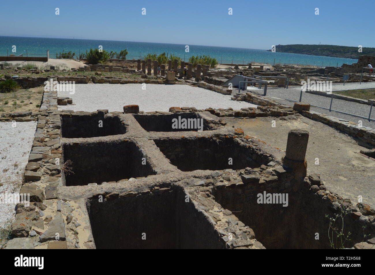 Garum Fish High Resolution Stock Photography and Images - Alamy