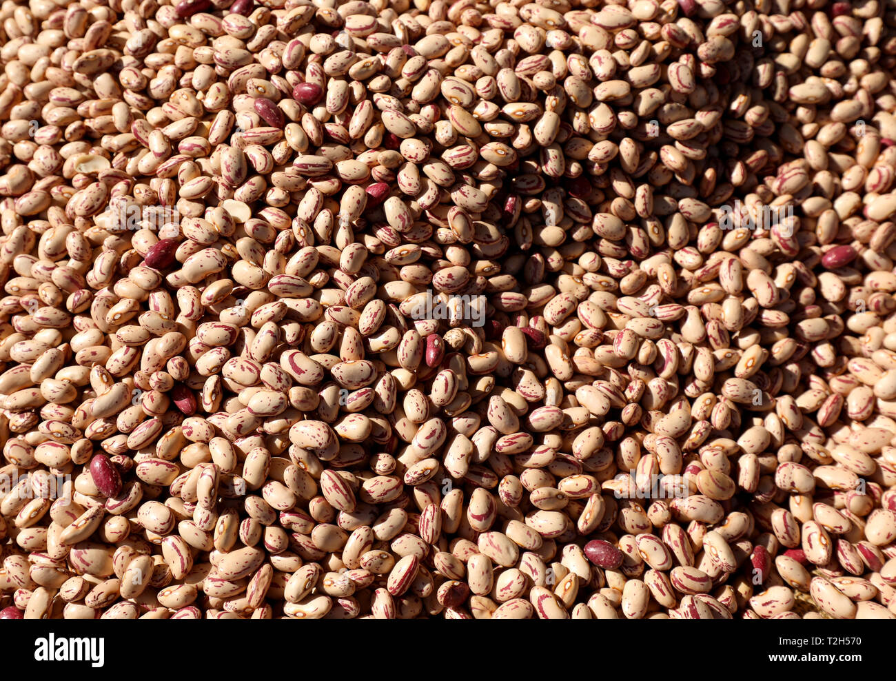 background of thousands dry common beans for sale at grocery Stock ...