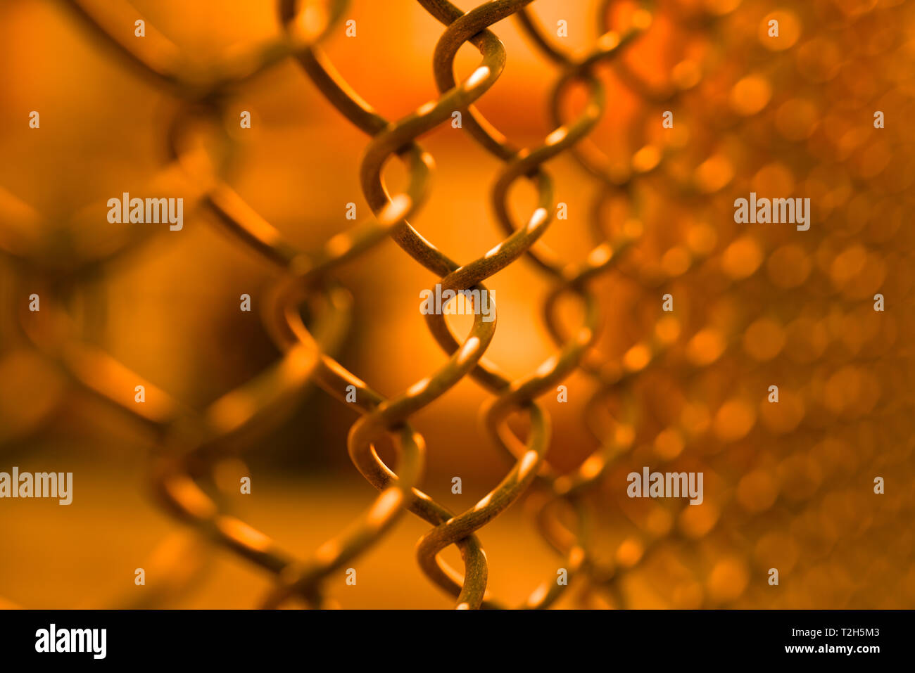 macro of the metal net picture Stock Photo - Alamy
