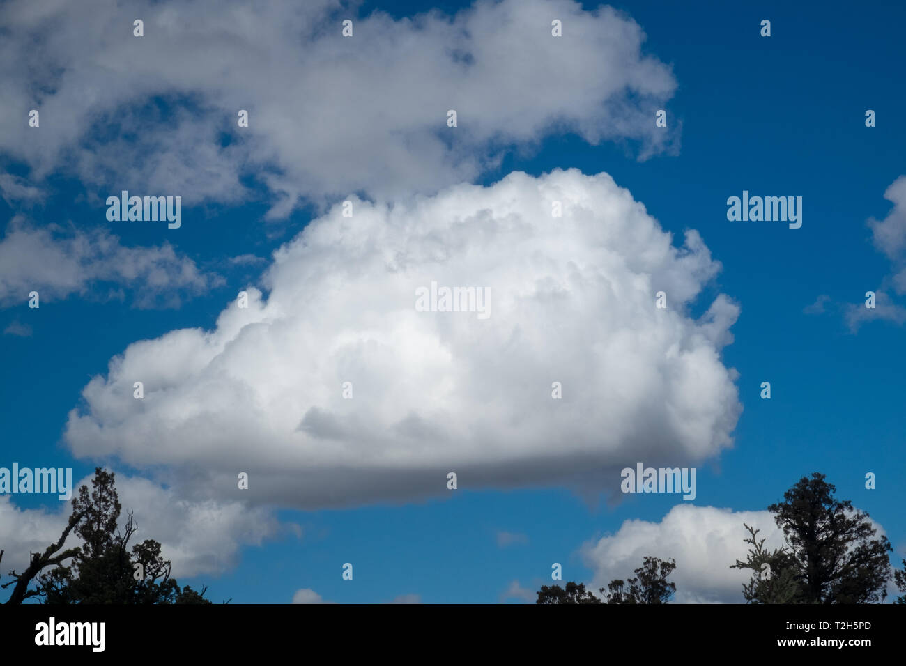 Blue sky lots small clouds hi-res stock photography and images - Alamy