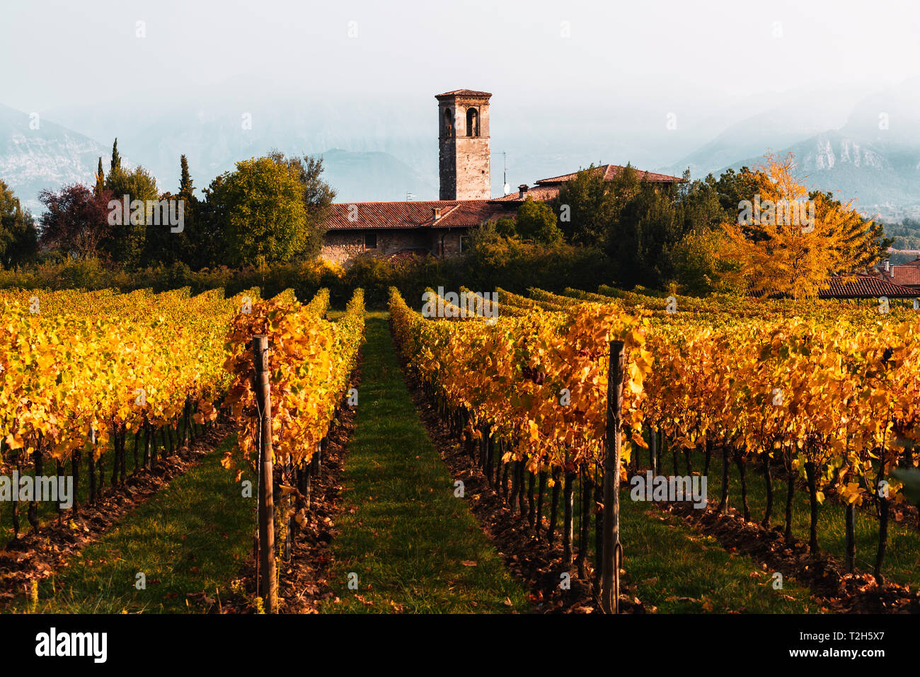 Franciacorta hi-res stock photography and images - Alamy