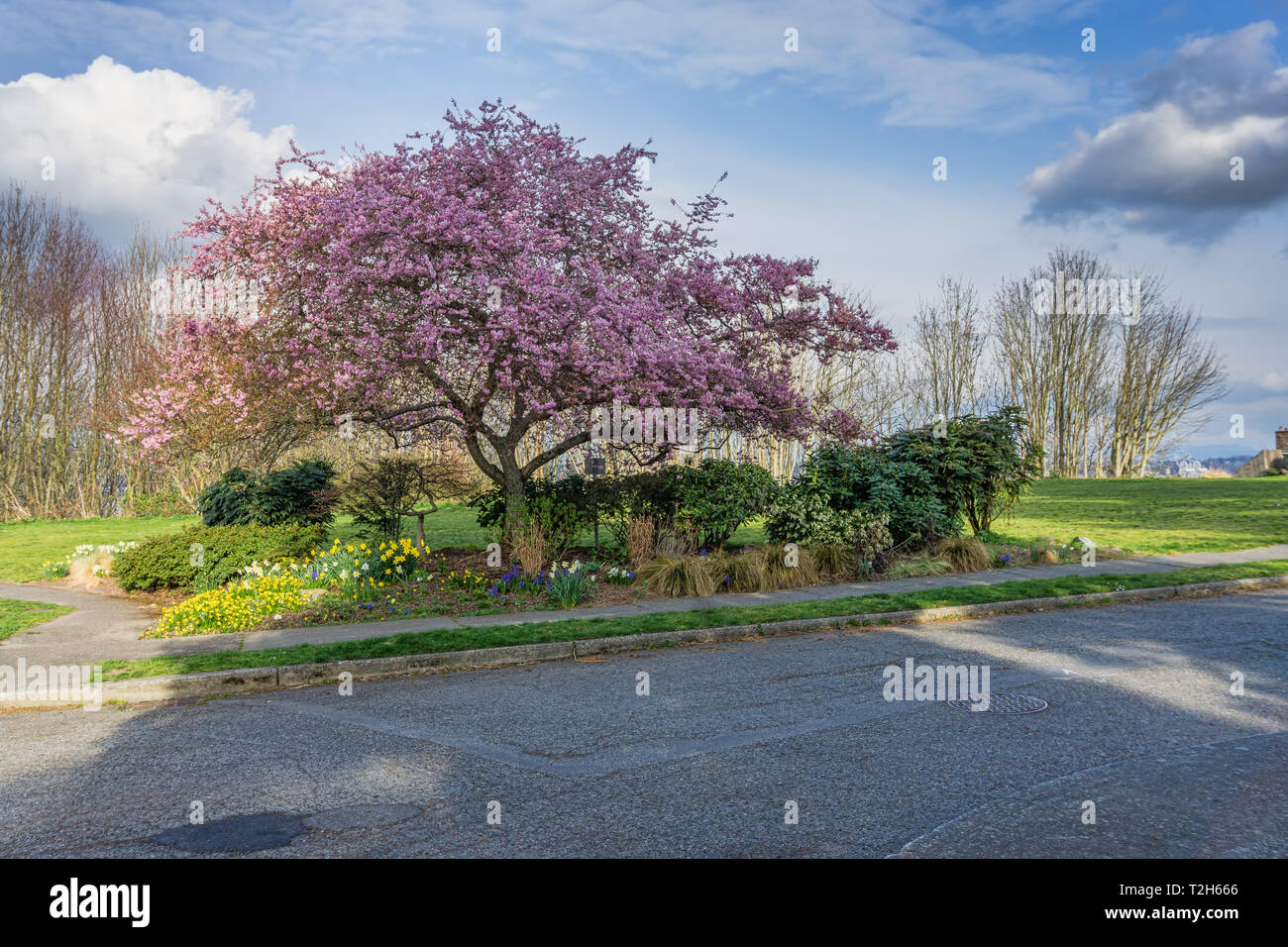 Cherry street seattle hi-res stock photography and images - Alamy