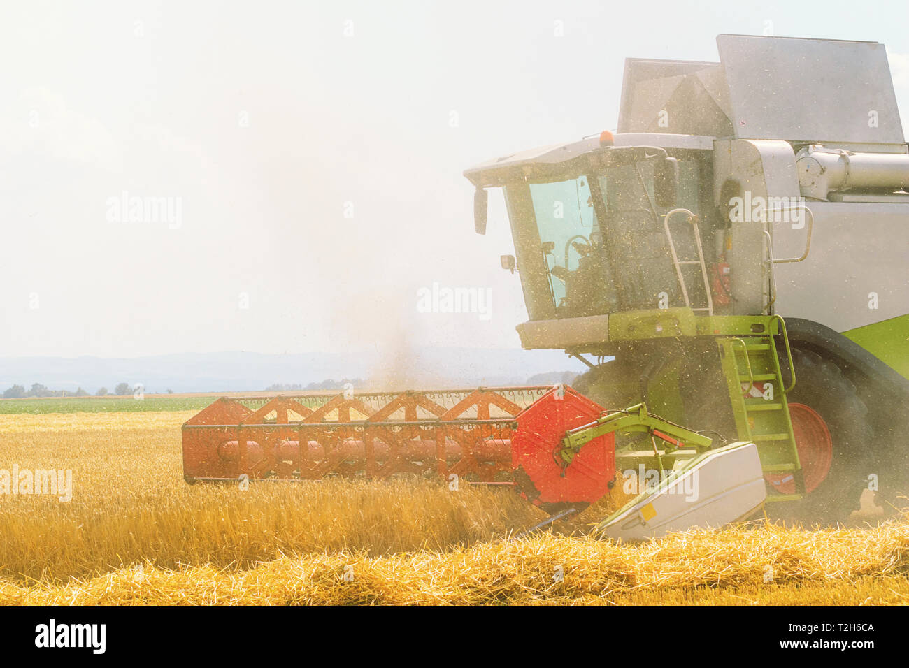 Closeup Combine harvesting a wheat field. Combine working the field ...