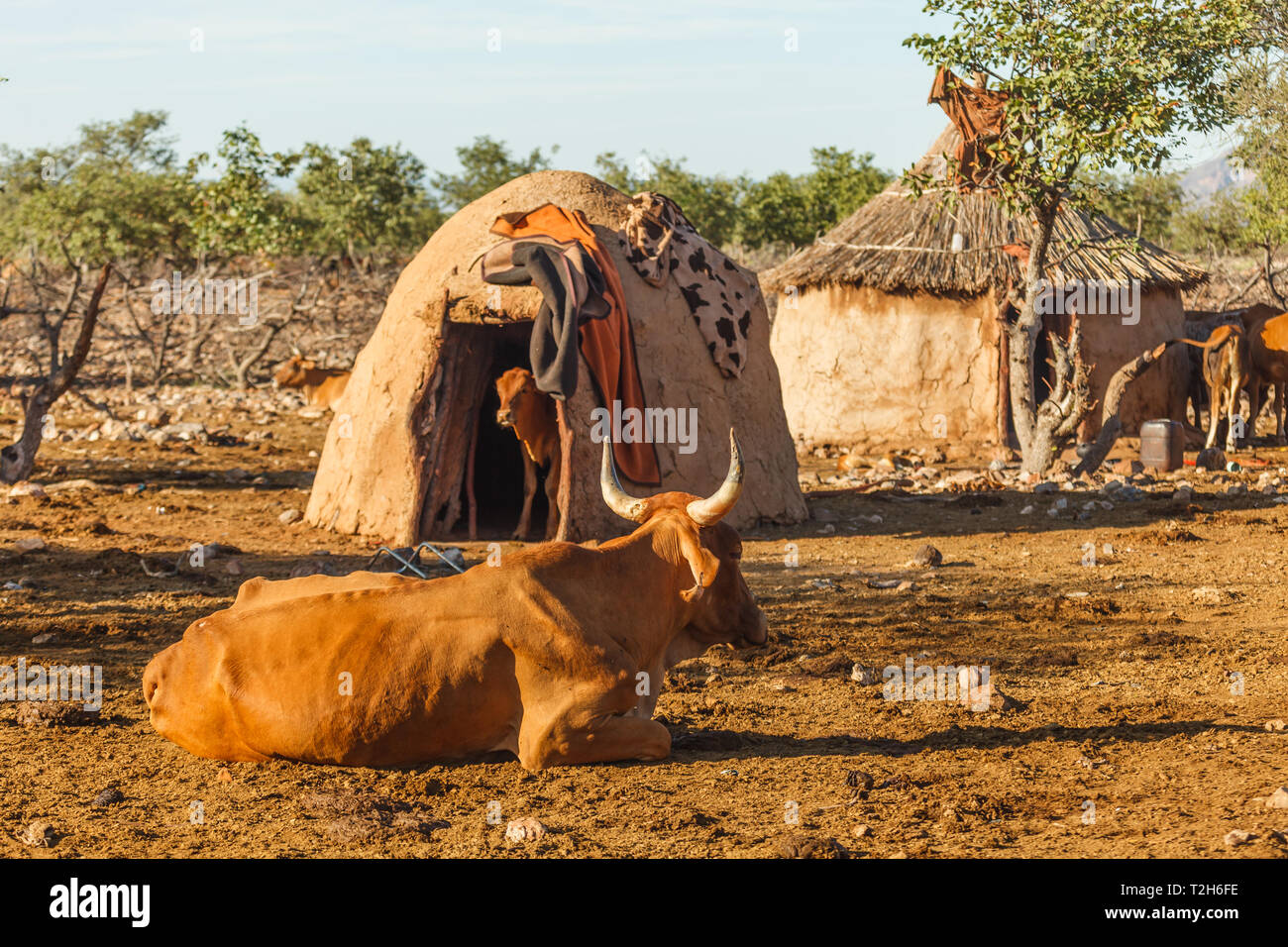 Himba tribe house hi-res stock photography and images - Alamy