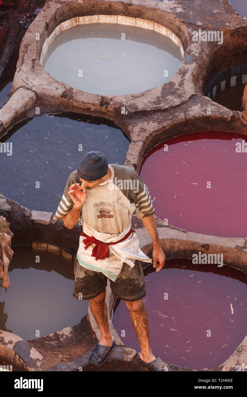 Skins soaking hi-res stock photography and images - Alamy