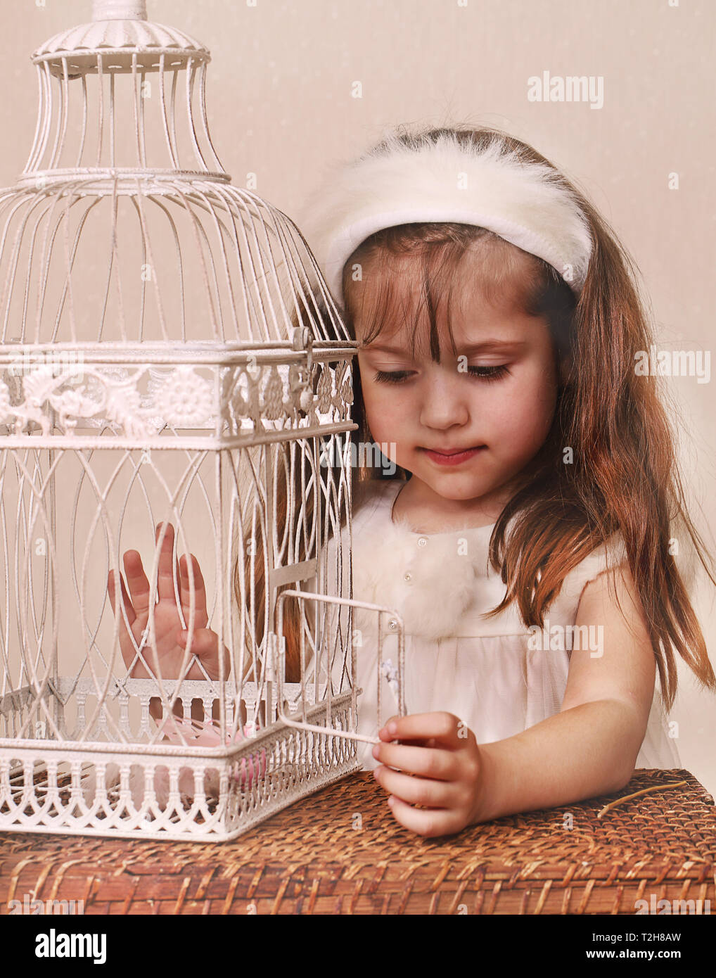 Nice yellow cage hi-res stock photography and images - Alamy