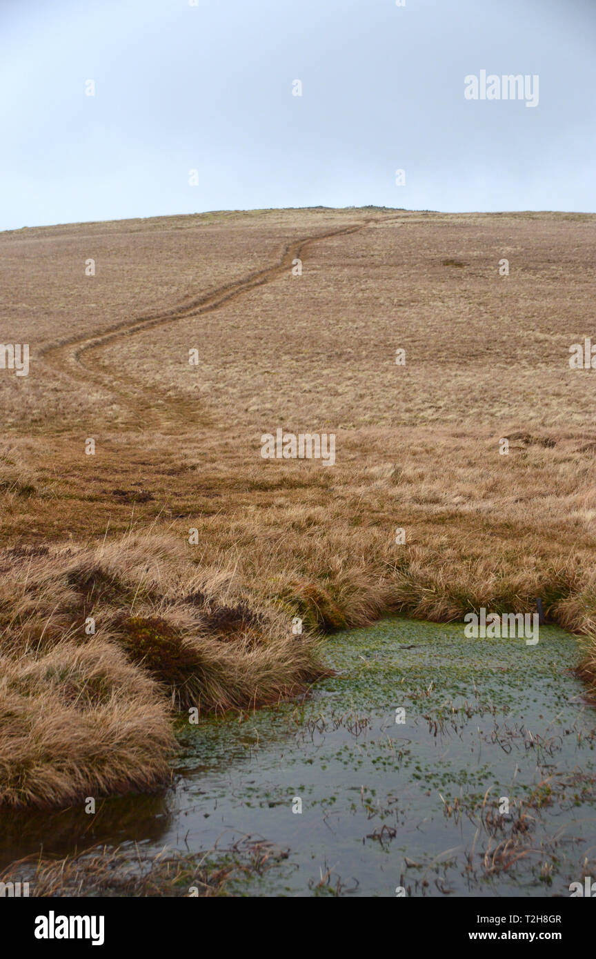 Walking boggy ground hi-res stock photography and images - Alamy