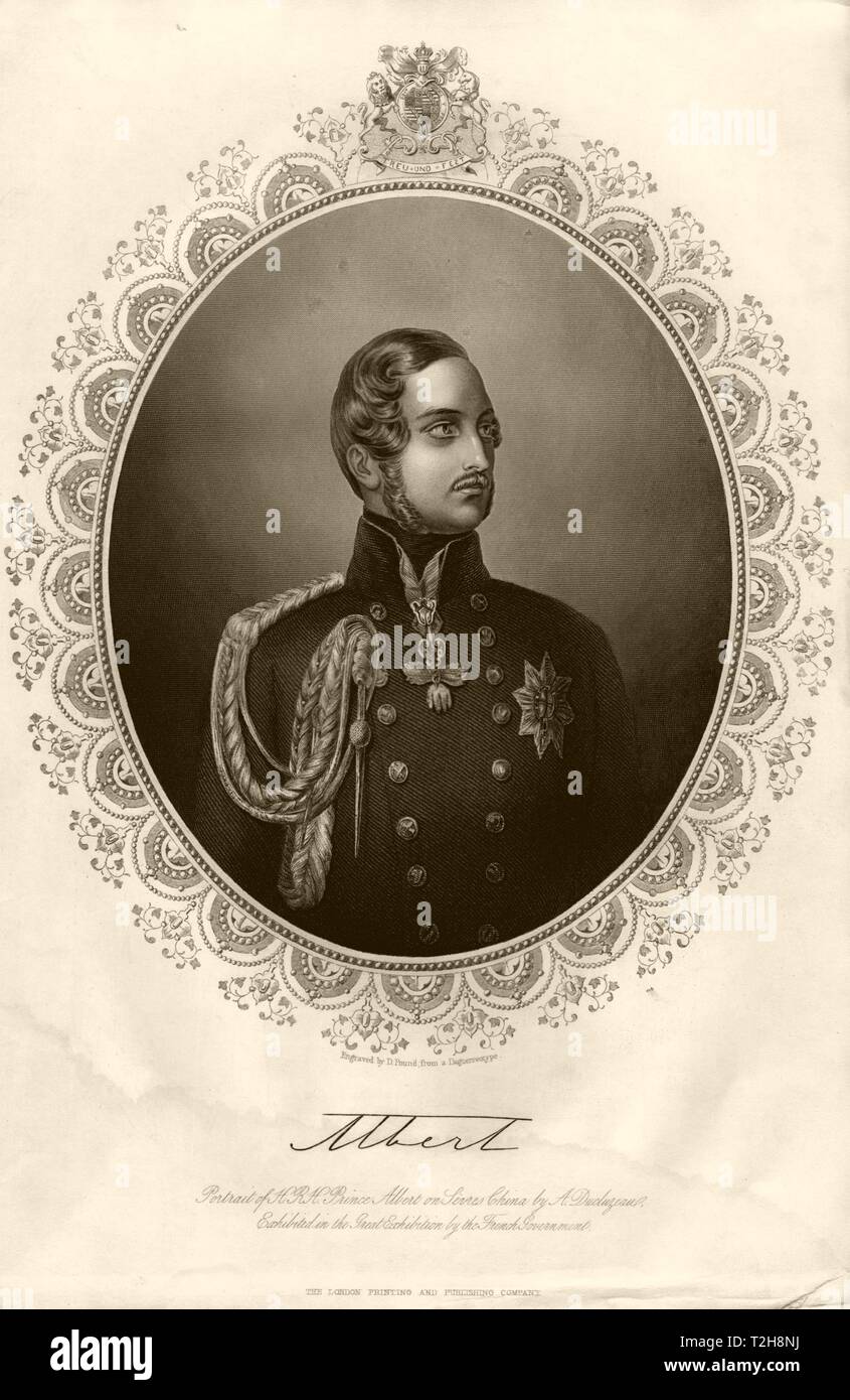 Portrait prince albert 19th century hi-res stock photography and images ...