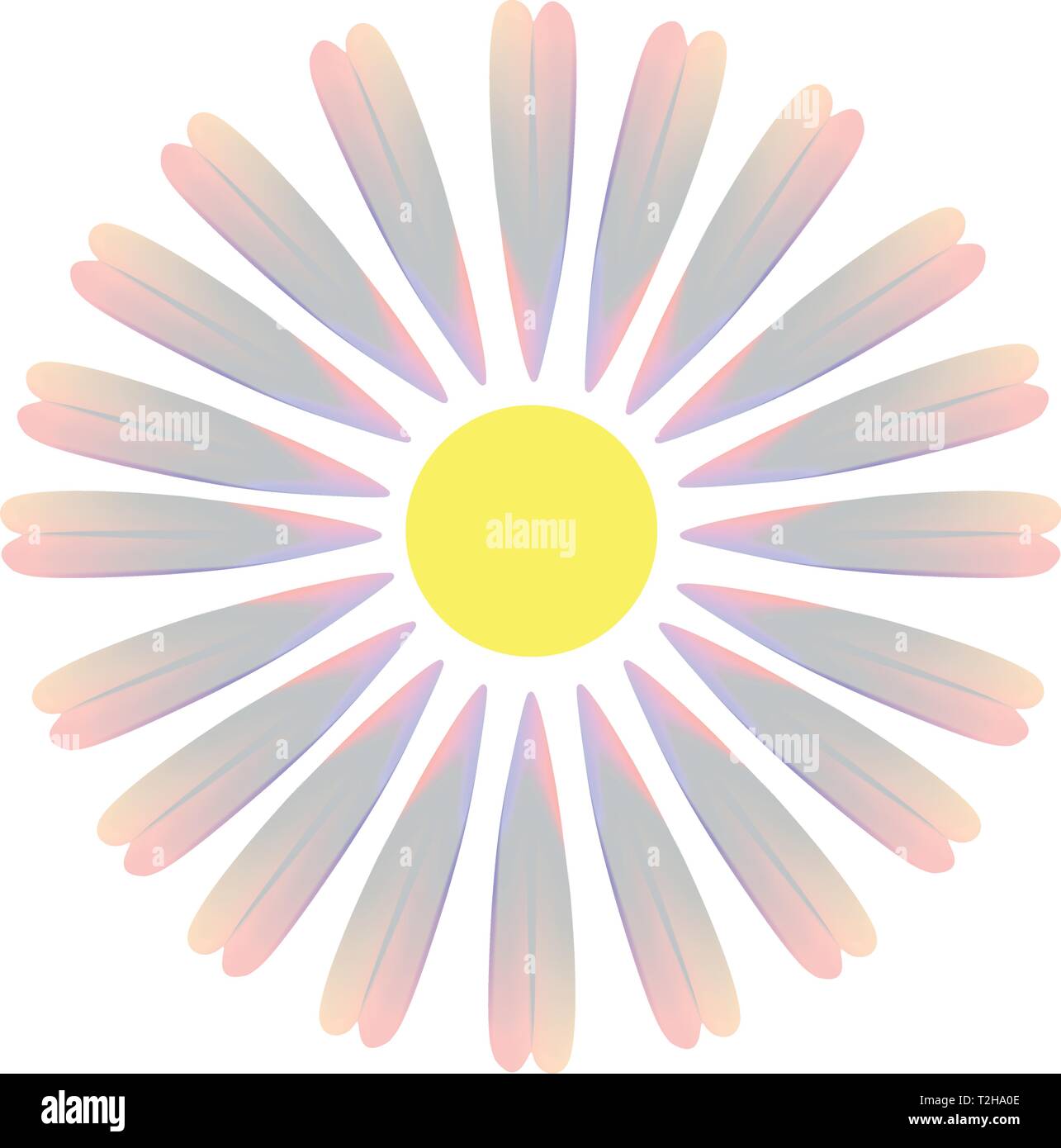 Spring Daisy. Abstract white background with flower. Symmetrical flower ...