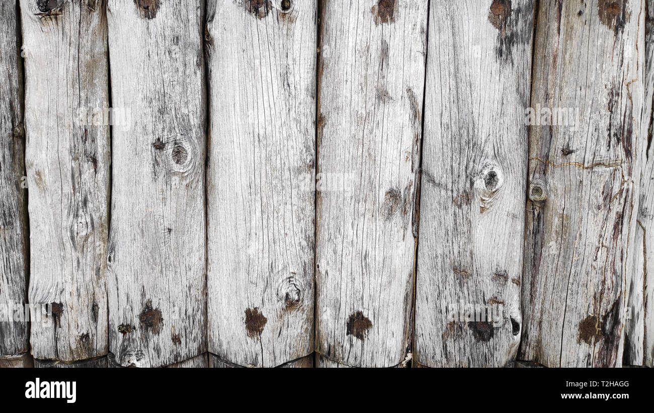 Natural tree wood trunk background Stock Photo - Alamy
