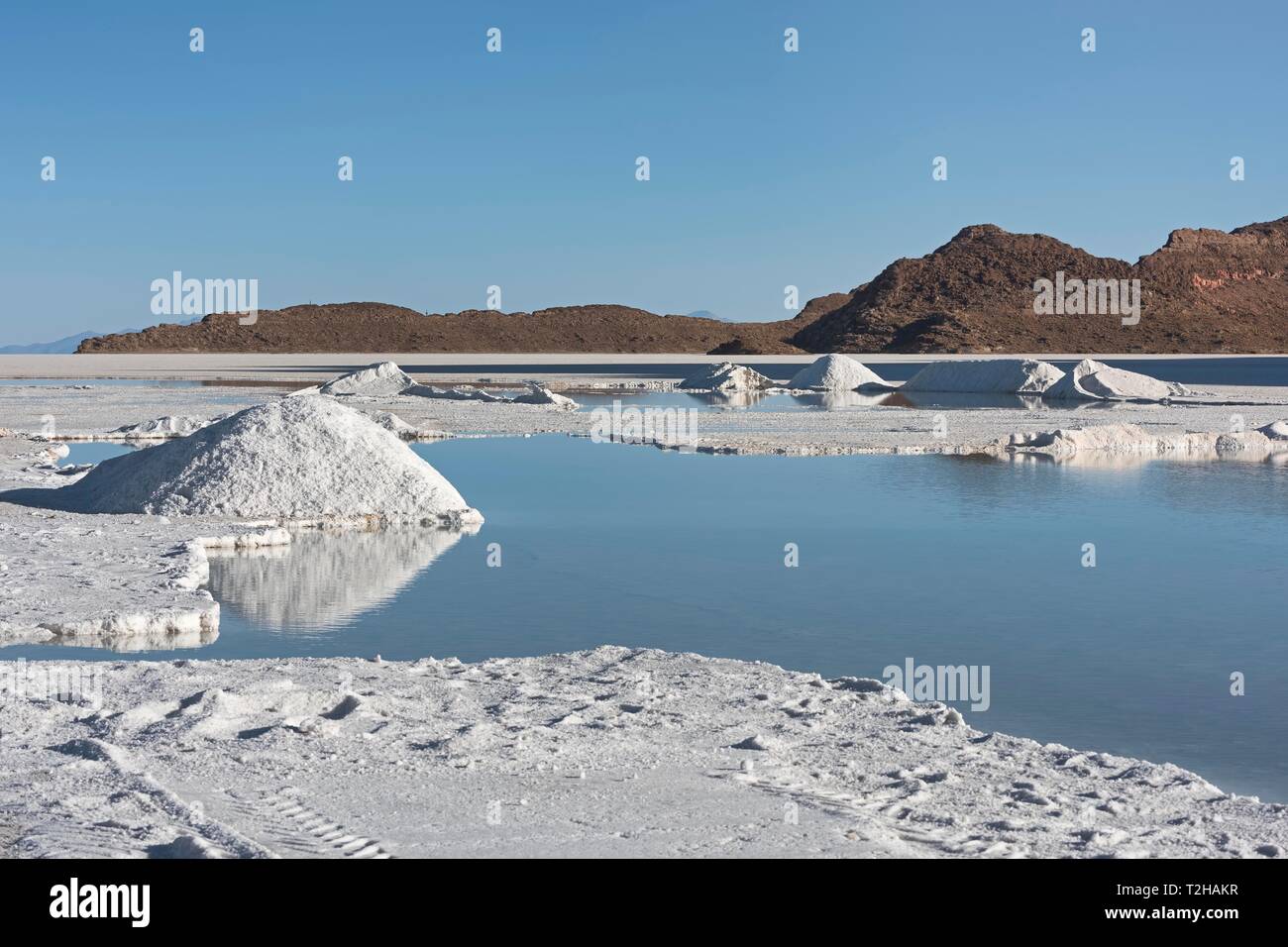 Salt mining at the salt lake Salar de Uyuni, Altiplano, Bolivia Stock ...