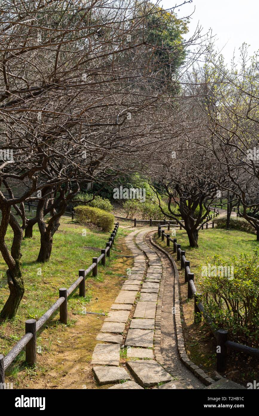 Plum forest hi-res stock photography and images - Alamy