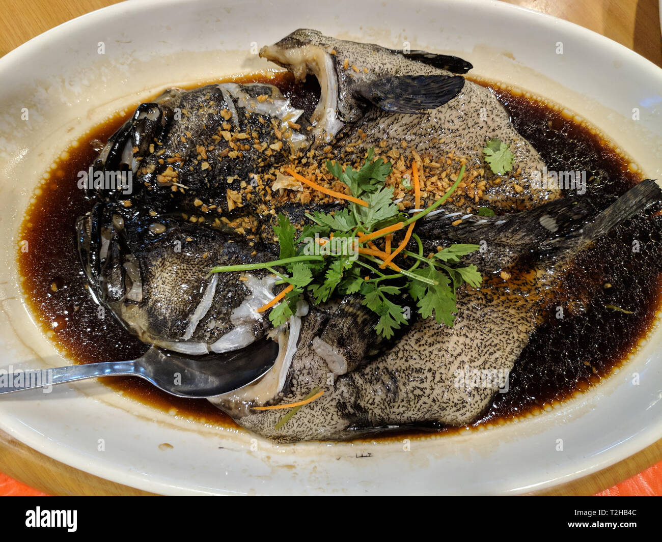 Steamed Dragon Tiger Grouper, Dragon Tiger Grouper is a hybrid grouper ...